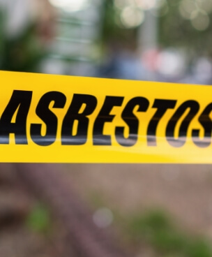 Case Studies - Mendes & Mount LLP