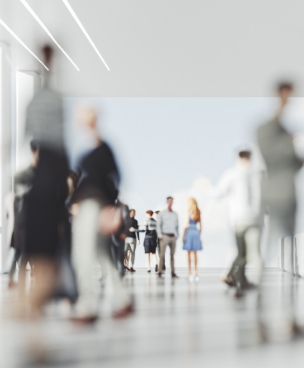 Case Studies - Mendes & Mount LLP